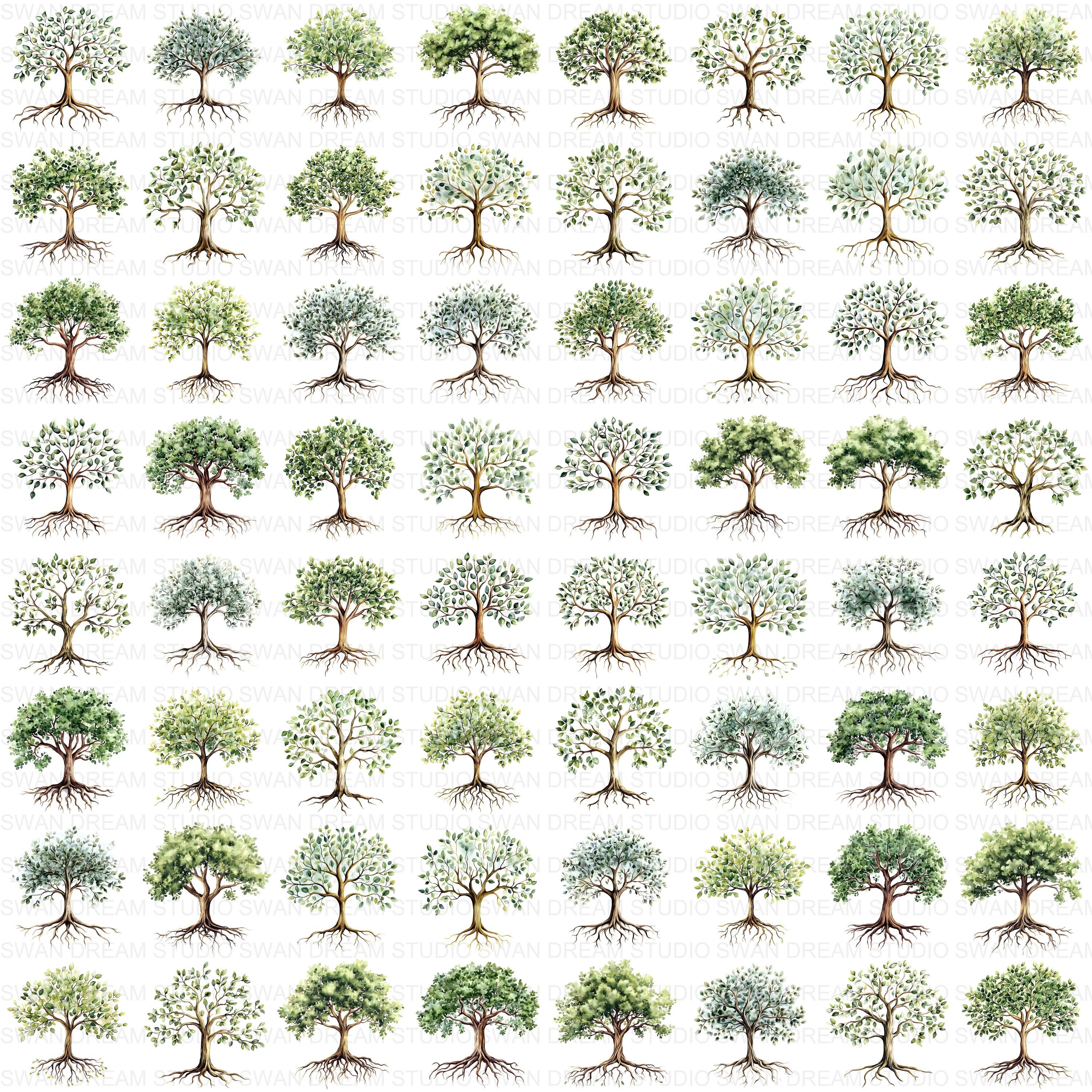 129 Oak Family Tree of Life Roots Clipart Bundle Printable Whimsical ...