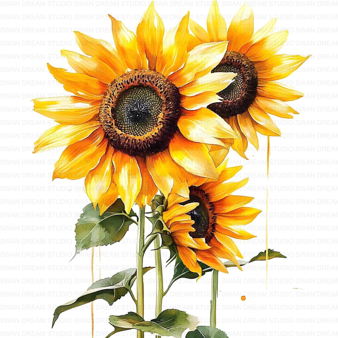 128 Beautiful Sunflower Flower Clipart Bundle Printable High Quality ...