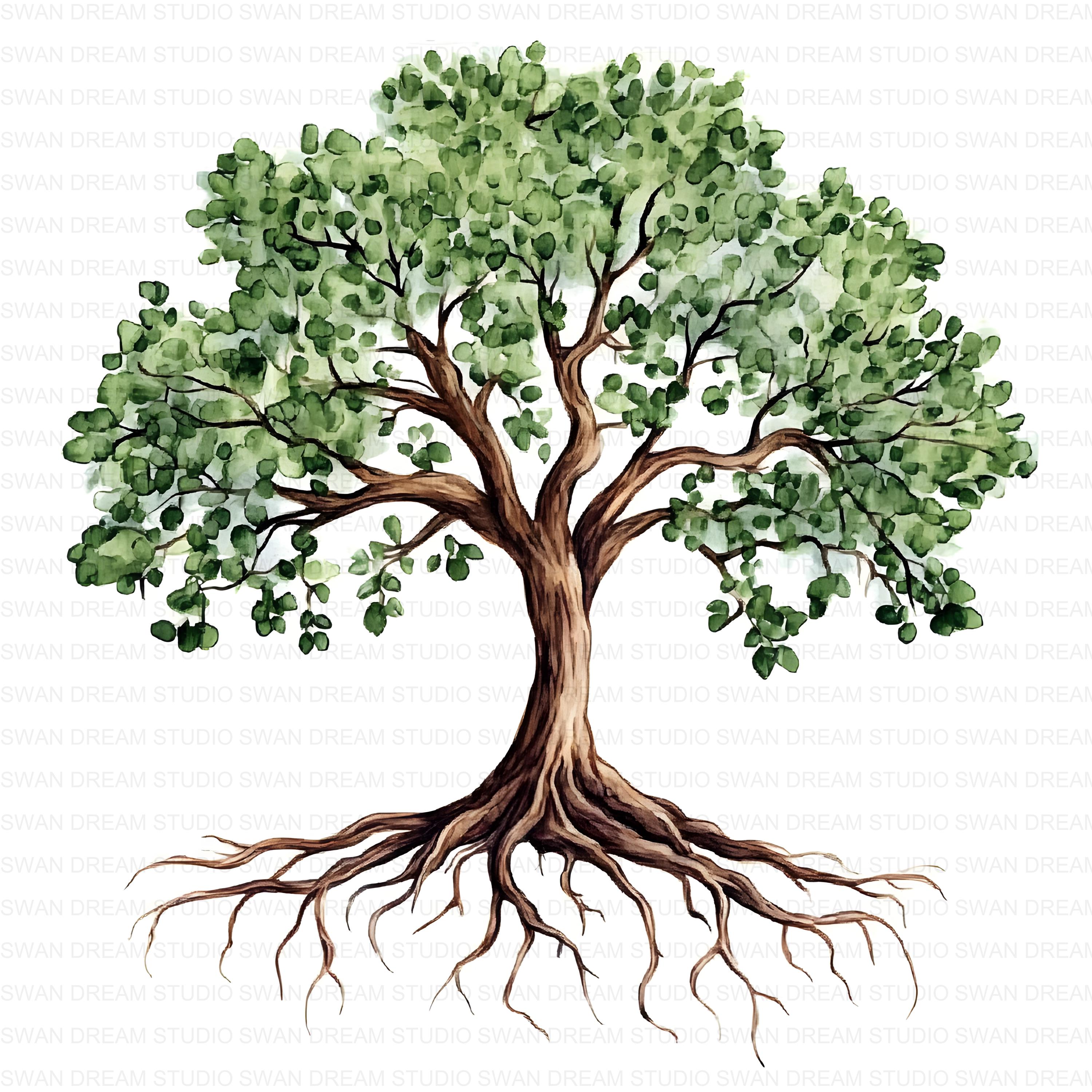 129 Oak Family Tree of Life Roots Clipart Bundle Printable Whimsical ...