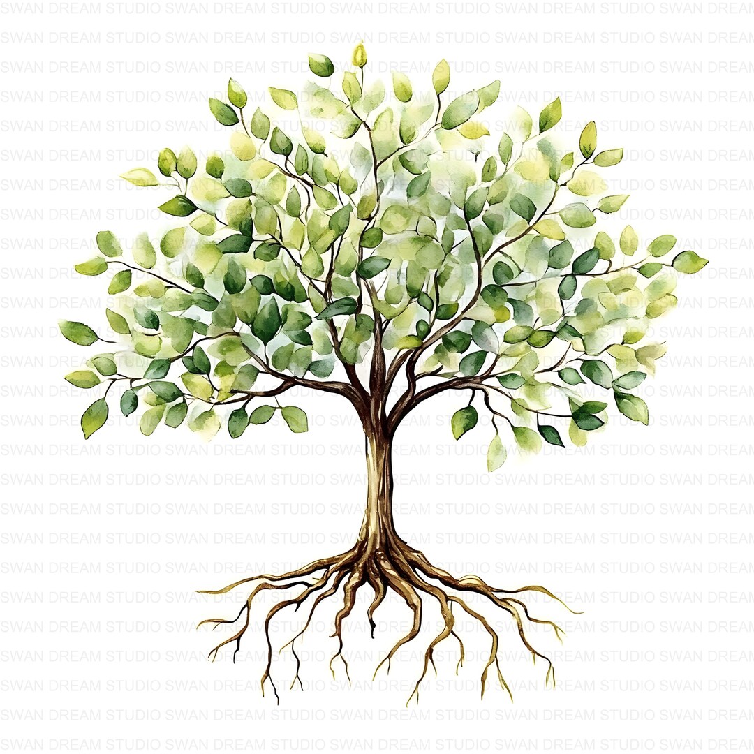 129 Oak Family Tree of Life Roots Clipart Bundle Printable Whimsical ...