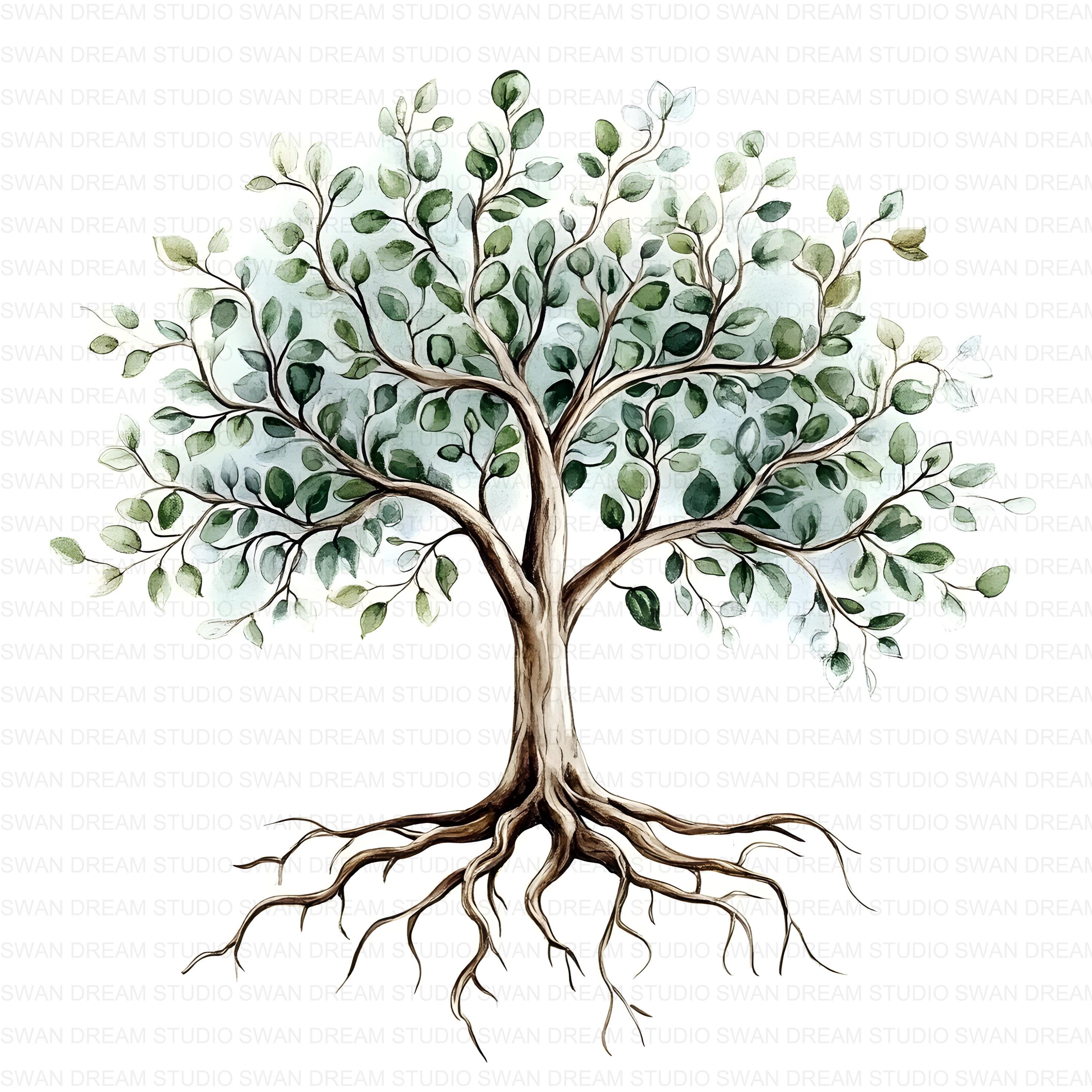 129 Oak Family Tree of Life Roots Clipart Bundle Printable High Quality ...