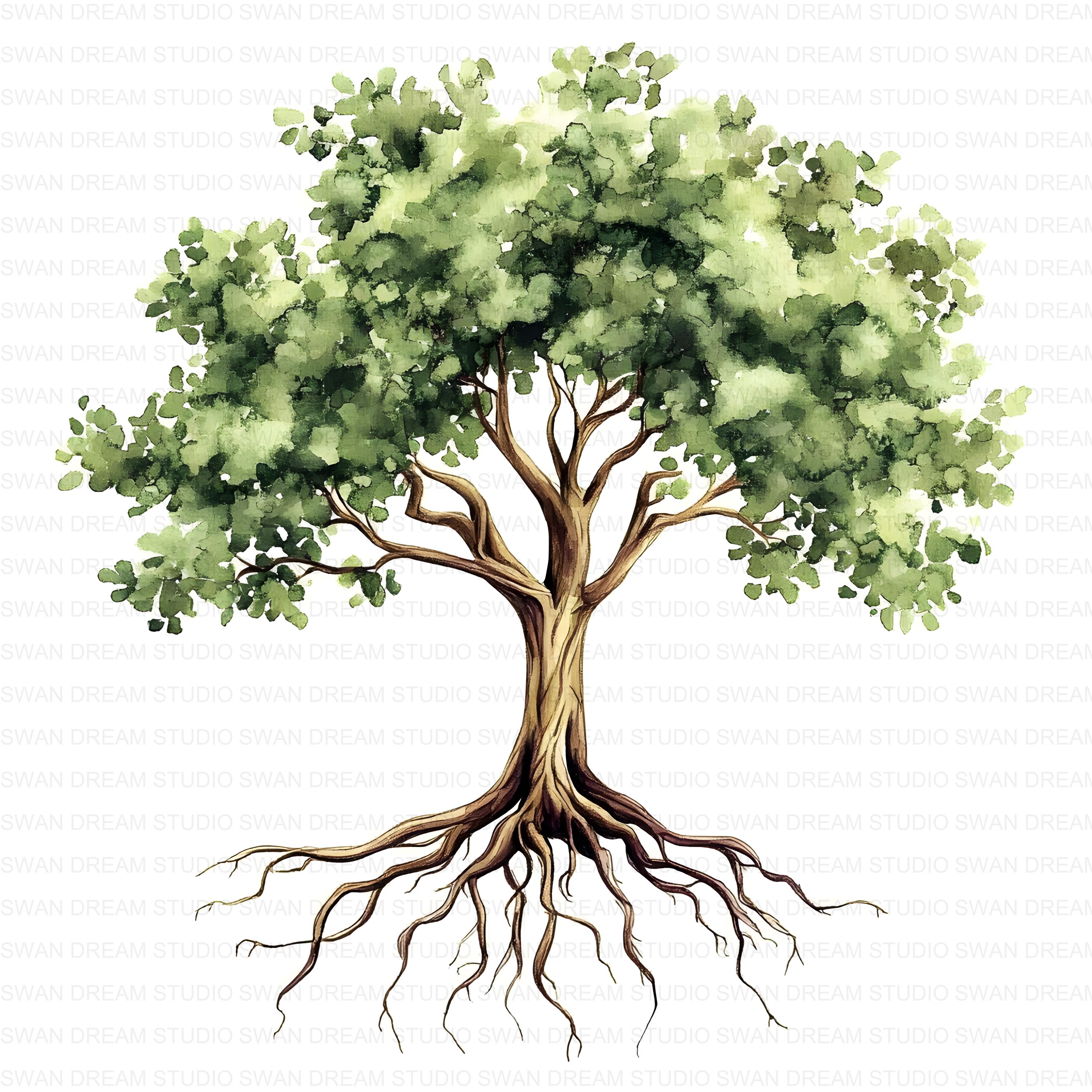 129 Oak Family Tree of Life Roots Clipart Bundle Printable Whimsical ...