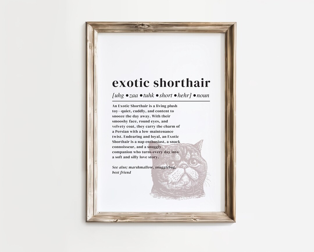 Exotic Shorthair Cat Definition Print: Squishy Face Art (digital ...