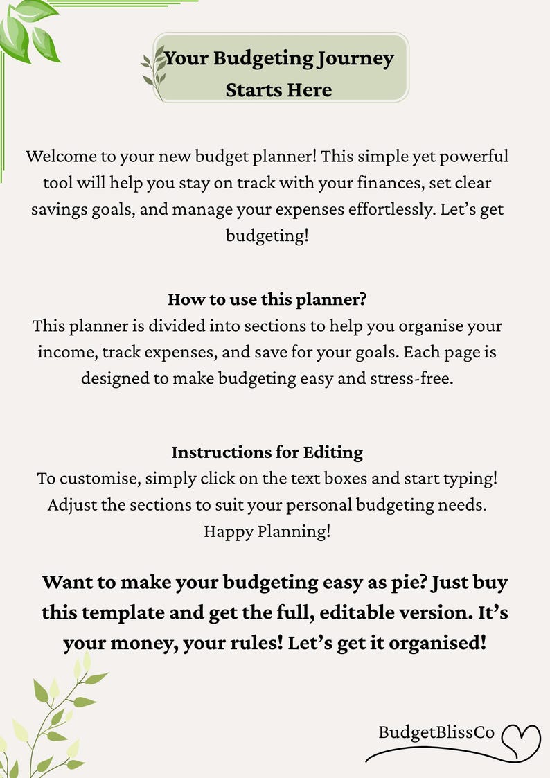 Editable Budget Planner - Etsy