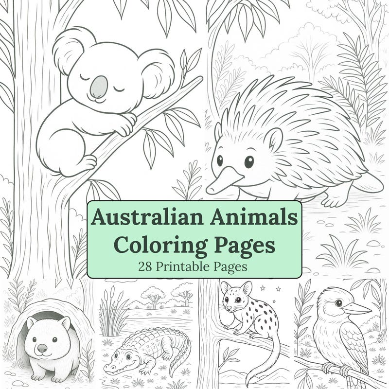 Australian Animals - Etsy