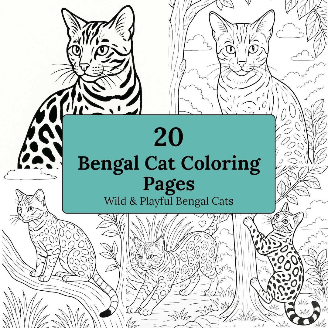Bengal Cat Coloring Book: 20 Printable Line Art Designs (digital ...