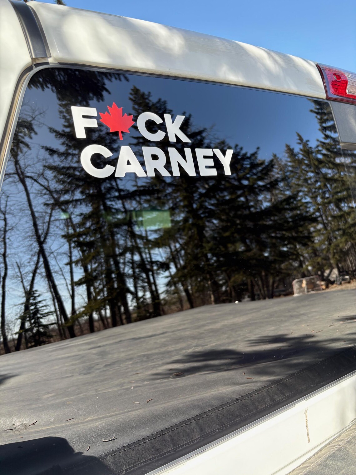 F Carney and F Liberals Stickers - Etsy Canada