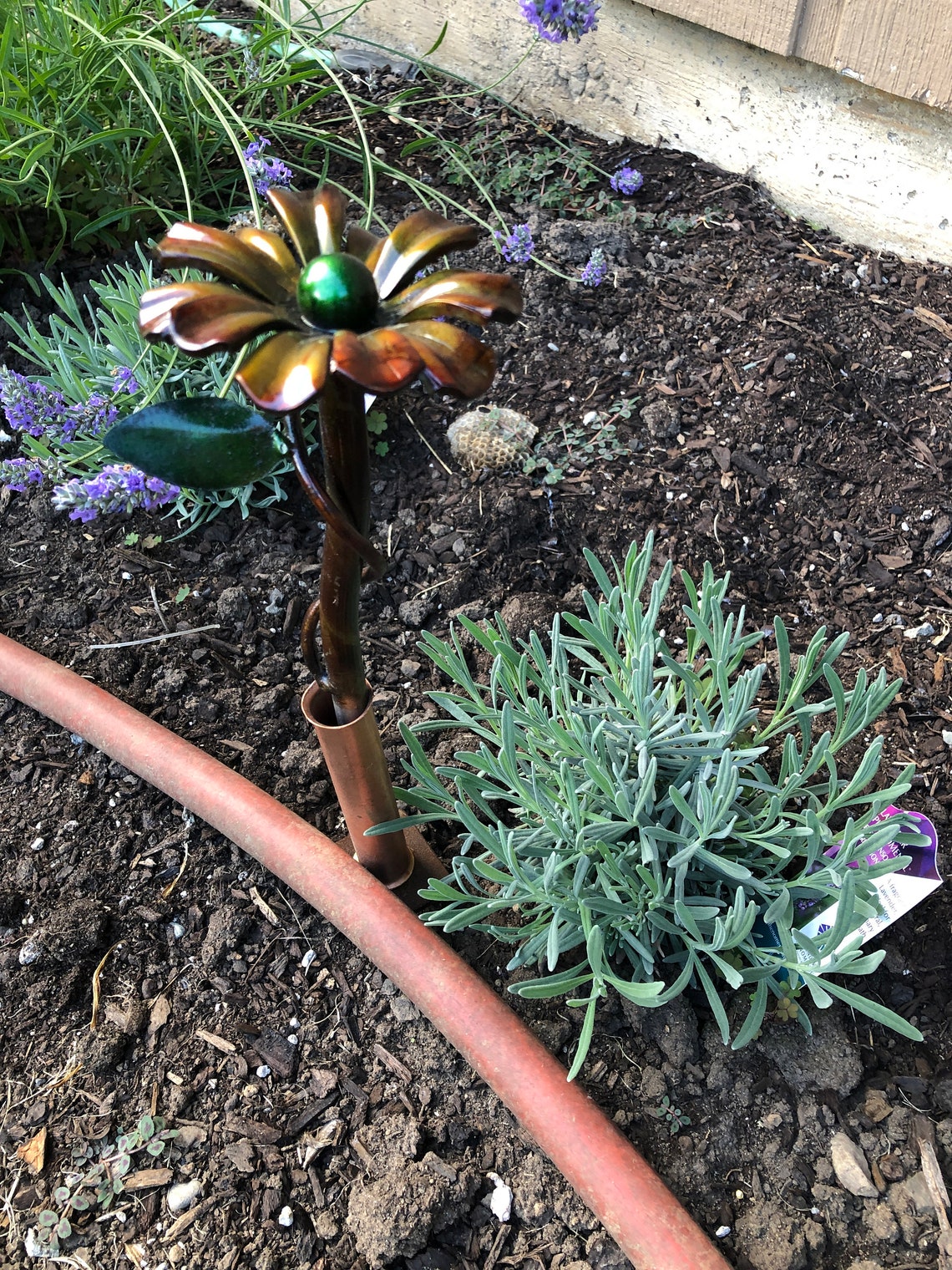 Metal Hose Guide Protect Your Plants & Shrubs From the Hose. - Etsy