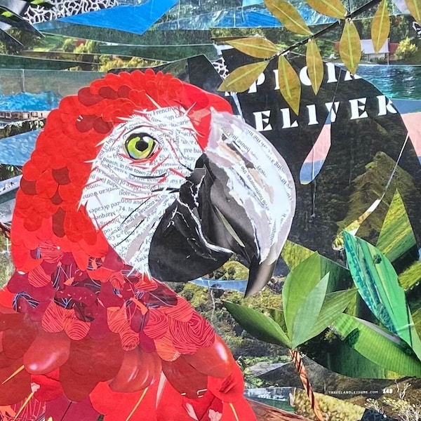 Parrot Collage - Etsy