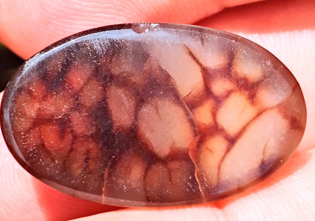 Orbicular Jasper Cabochon: Brown Tan Gemstone for Jewelry Making - Etsy