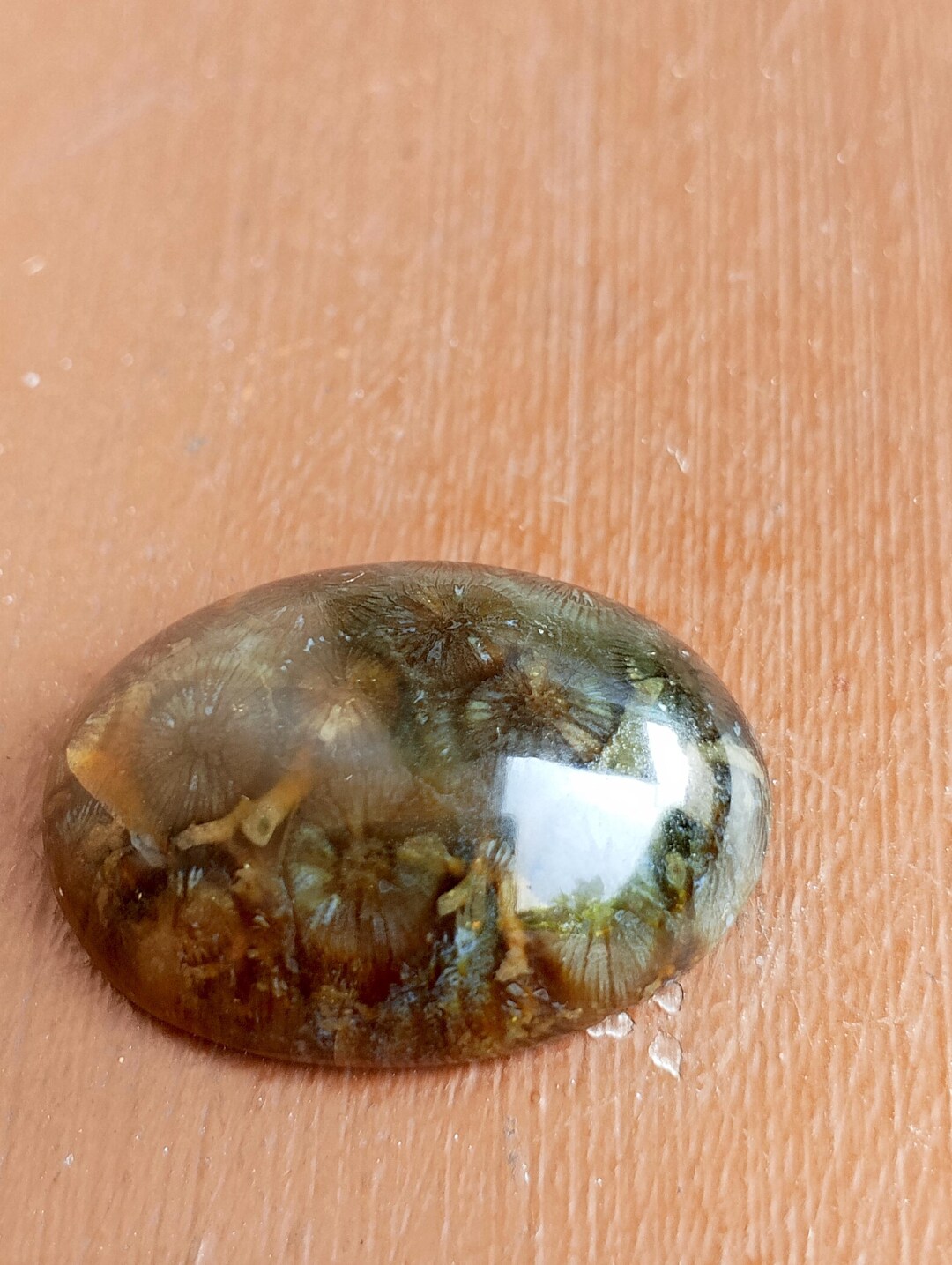Green Agatized Coral Cabochon: Polished Fossil Gemstone for Jewelry - Etsy