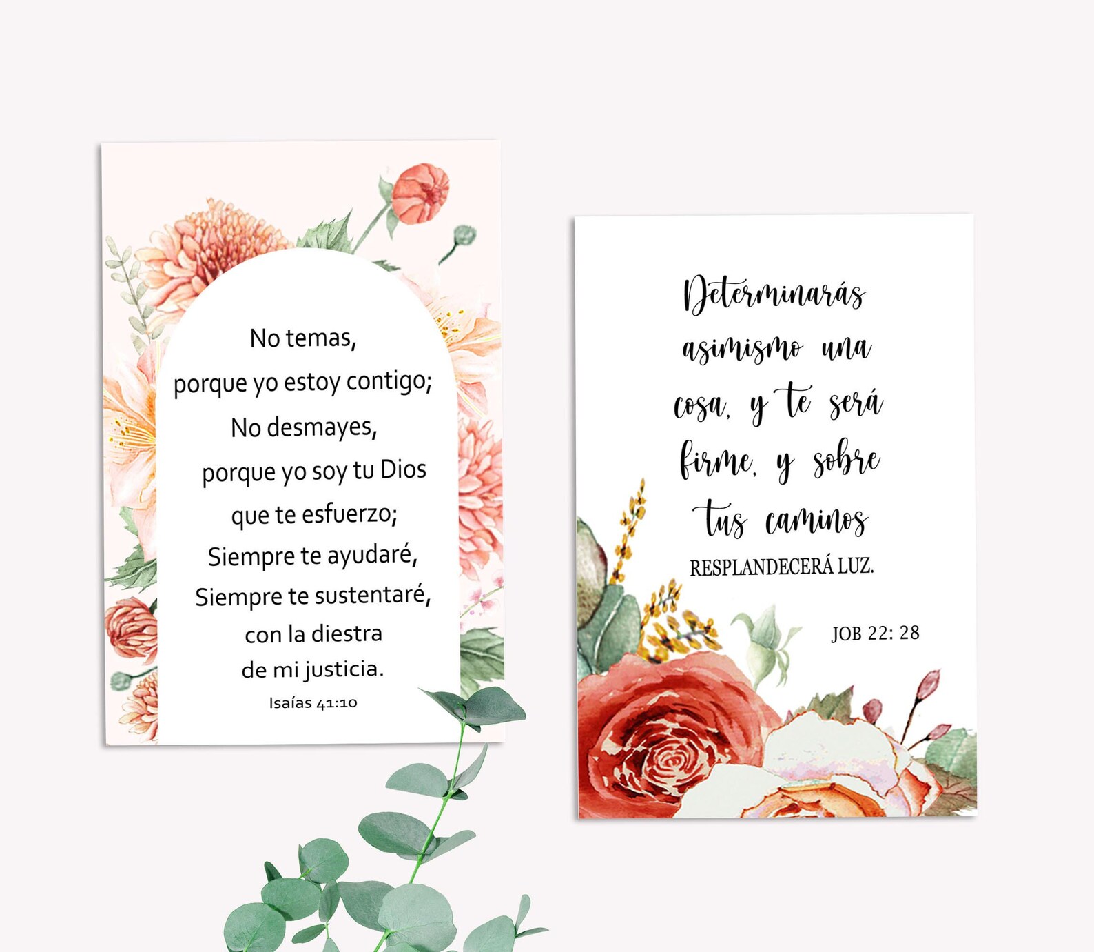 Spanish Promises of God Set X8, Promesas De Dios, Spanish Women Bible ...