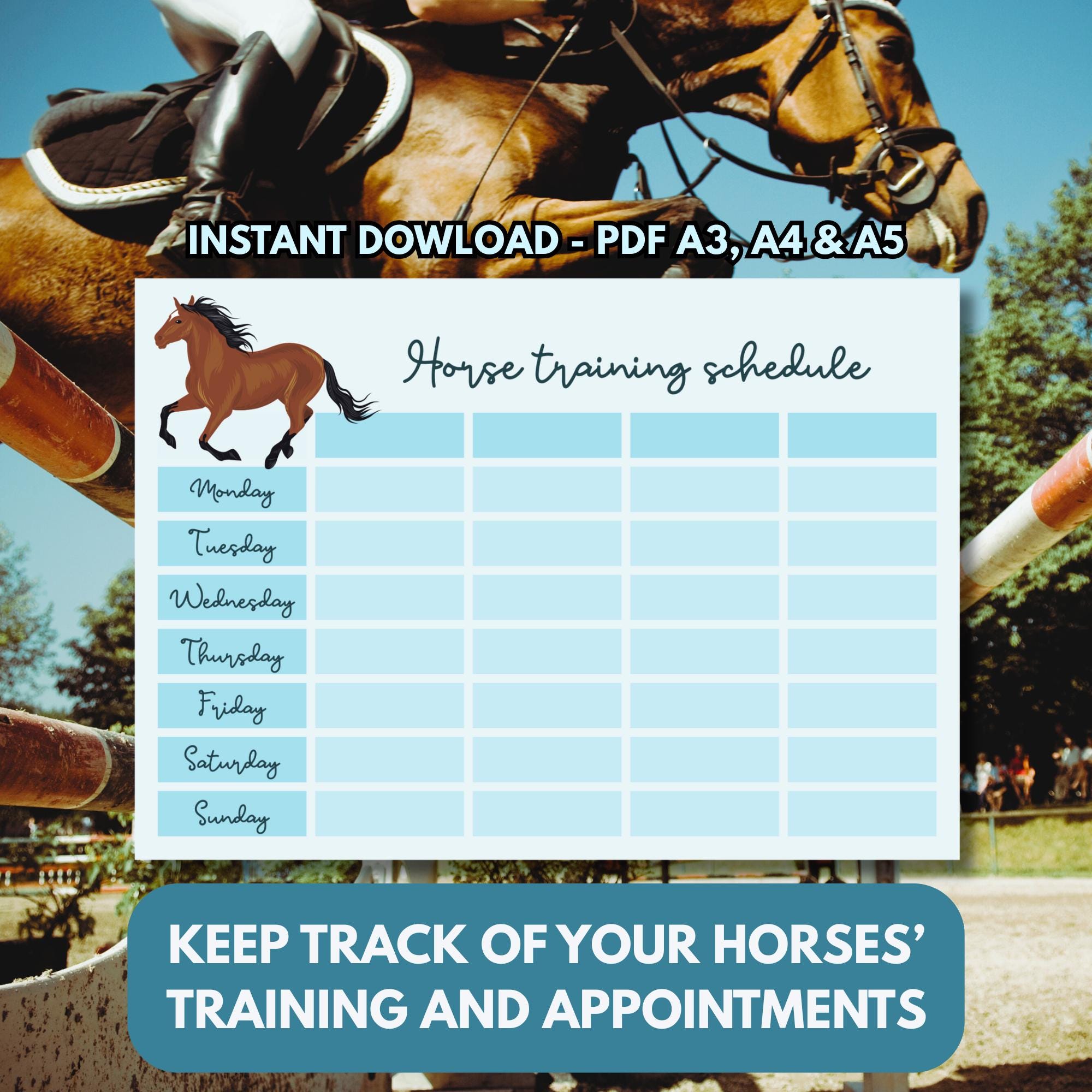 Horse Training Schedule Printable | A3, A4 & A5 Size Pdfs - Instant ...