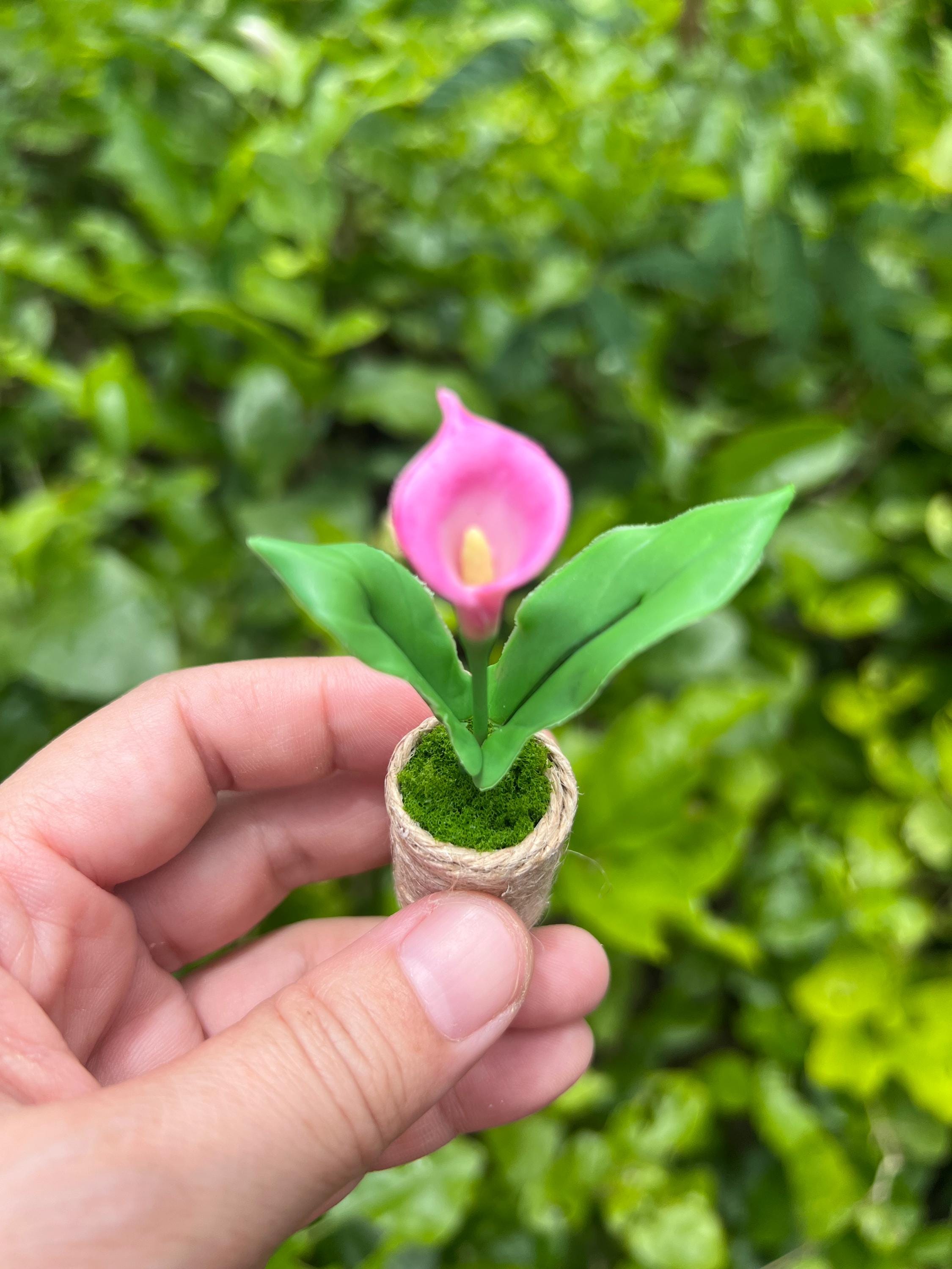 Miniature Pink Calla Lily Made of Clay in a Jute Rope Pot - Etsy