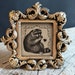 Raccoon Print in Baroque Frame - Vintage Style Art in Mini Baroque ...