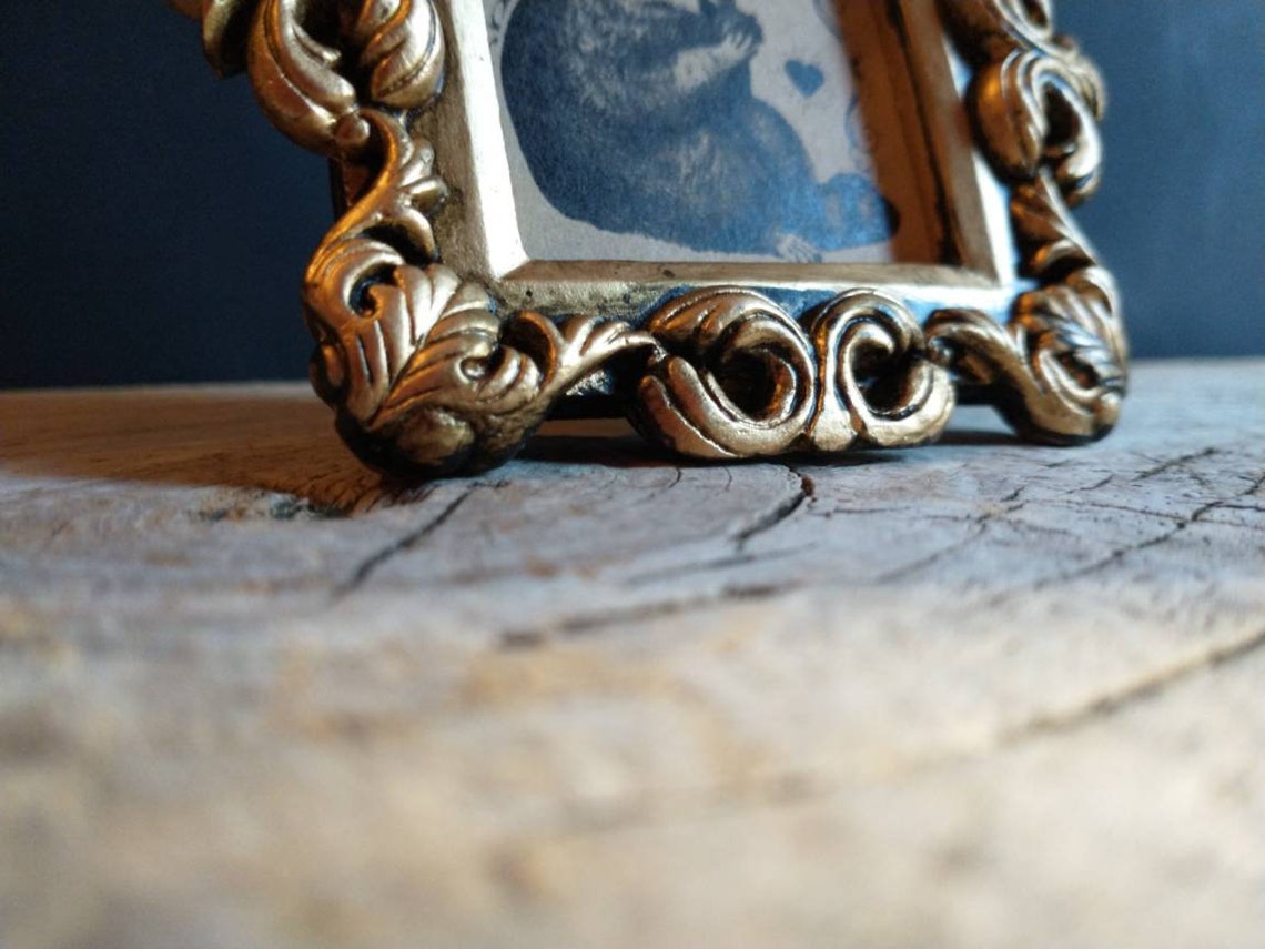 Raccoon Print in Baroque Frame Vintage Style Art in Mini - Etsy