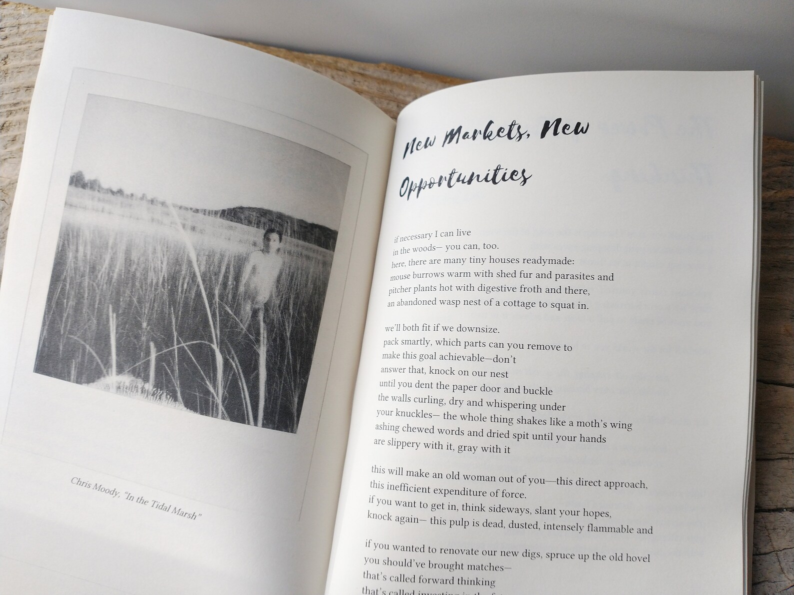 Queer Poets Write About Nature - Queer Poetry Zine Chapbook - Etsy