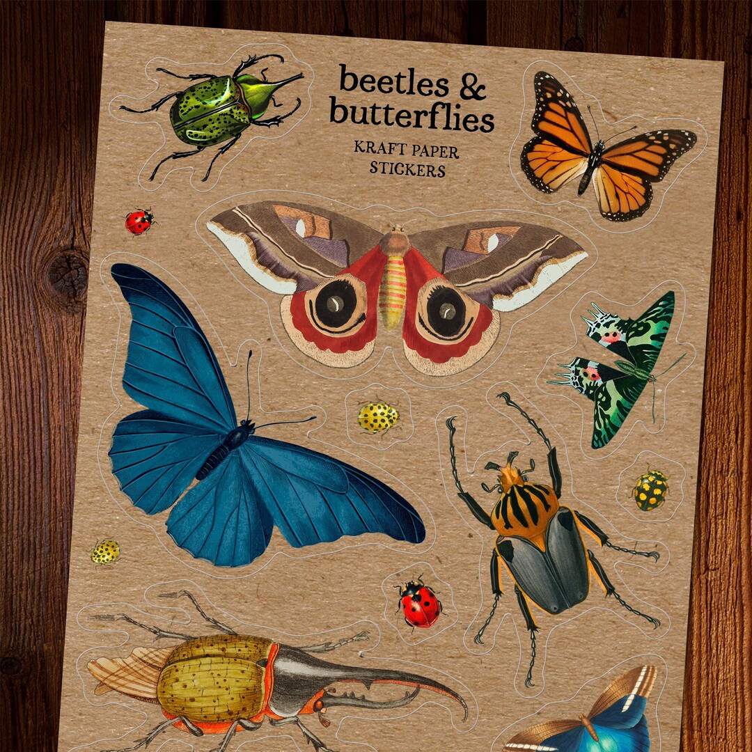 Beetle & Butterfly Stickers - 11 Vintage Insect Sticker Set on 5.5 X 8. ...