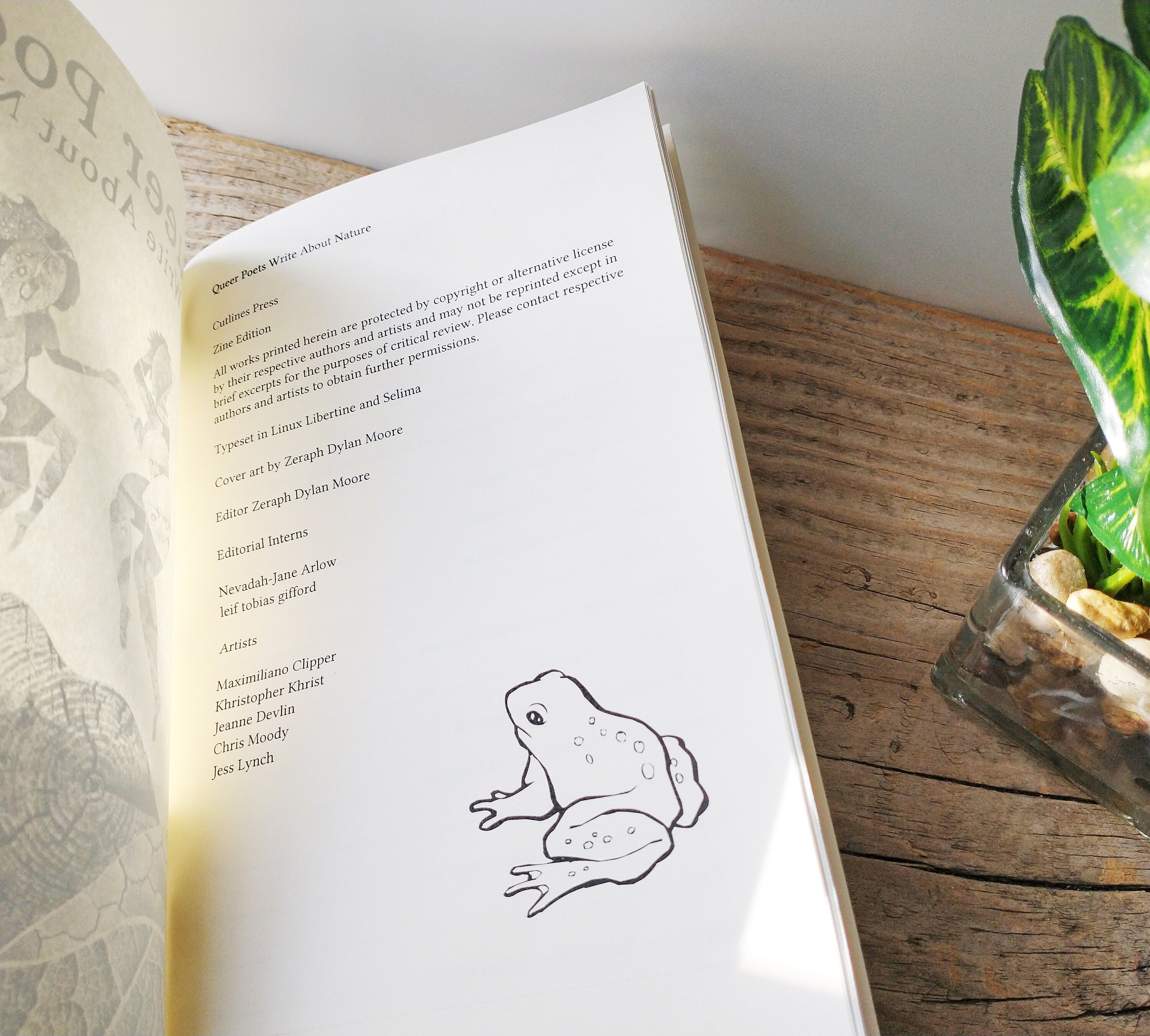 Queer Poets Write About Nature - Queer Poetry Zine Chapbook - Etsy