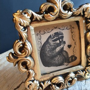 Raccoon Print in Baroque Frame Vintage Style Art in Mini Baroque Frame ...