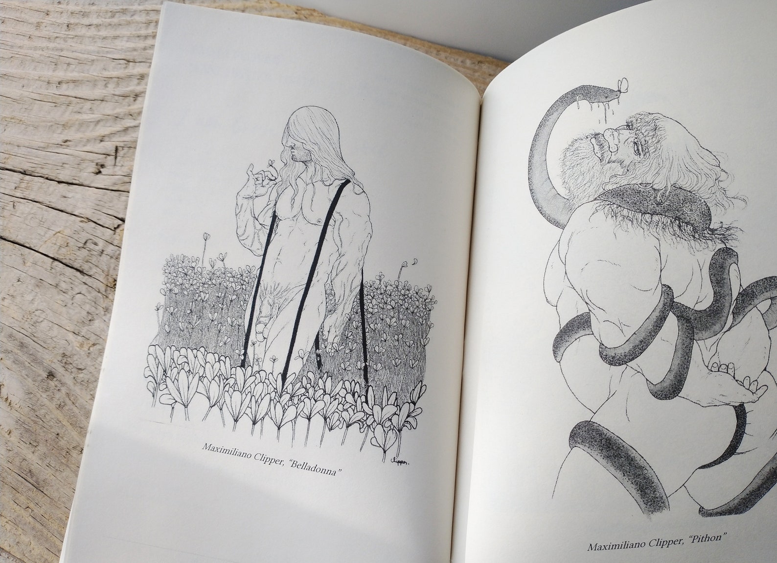 Queer Poets Write About Nature - Queer Poetry Zine Chapbook - Etsy