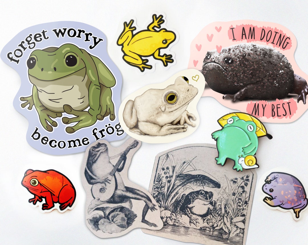 Frog Sticker Grab Bag Frog Enamel Pin and Stickers Cute Frogs Toads ...