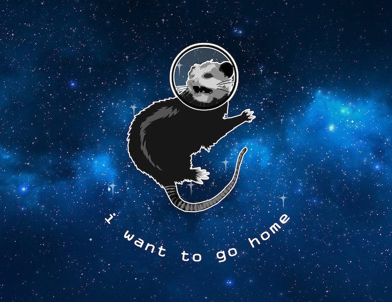 Space Possum Postcard Outer Space Opossum Funny Introvert | Etsy