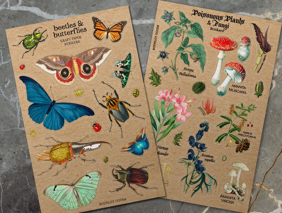 Bugs & Botany Vintage Sticker 2-pack - Beetles and Butterflies ...