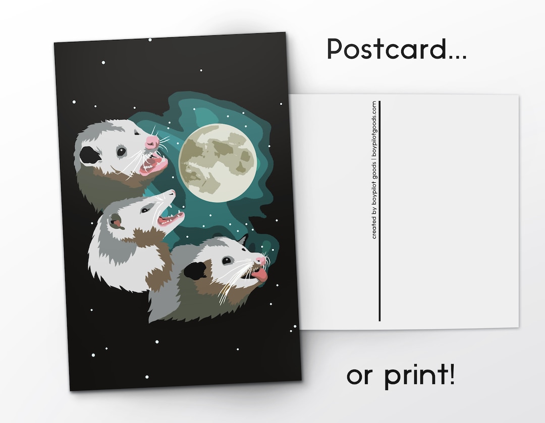 Three Possum Moon Art Print: Funny Opossum Postcard (4x6") - Etsy