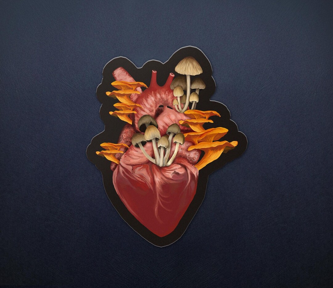 Mushroom Heart Vinyl Sticker – Fungi Anatomical Art - Etsy