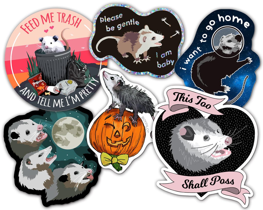 Possum Sticker Pack - 6 Opossum Vinyl Decals - Etsy