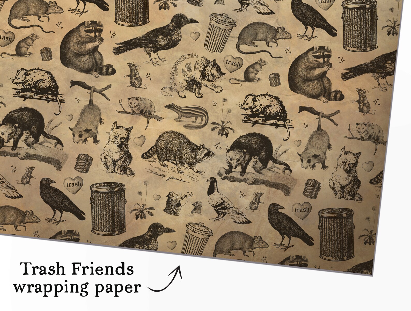 Raccoon Print in Baroque Frame Vintage Style Art in Mini Baroque Frame ...