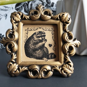 Raccoon Print in Baroque Frame: Vintage Style Mini Art - Etsy