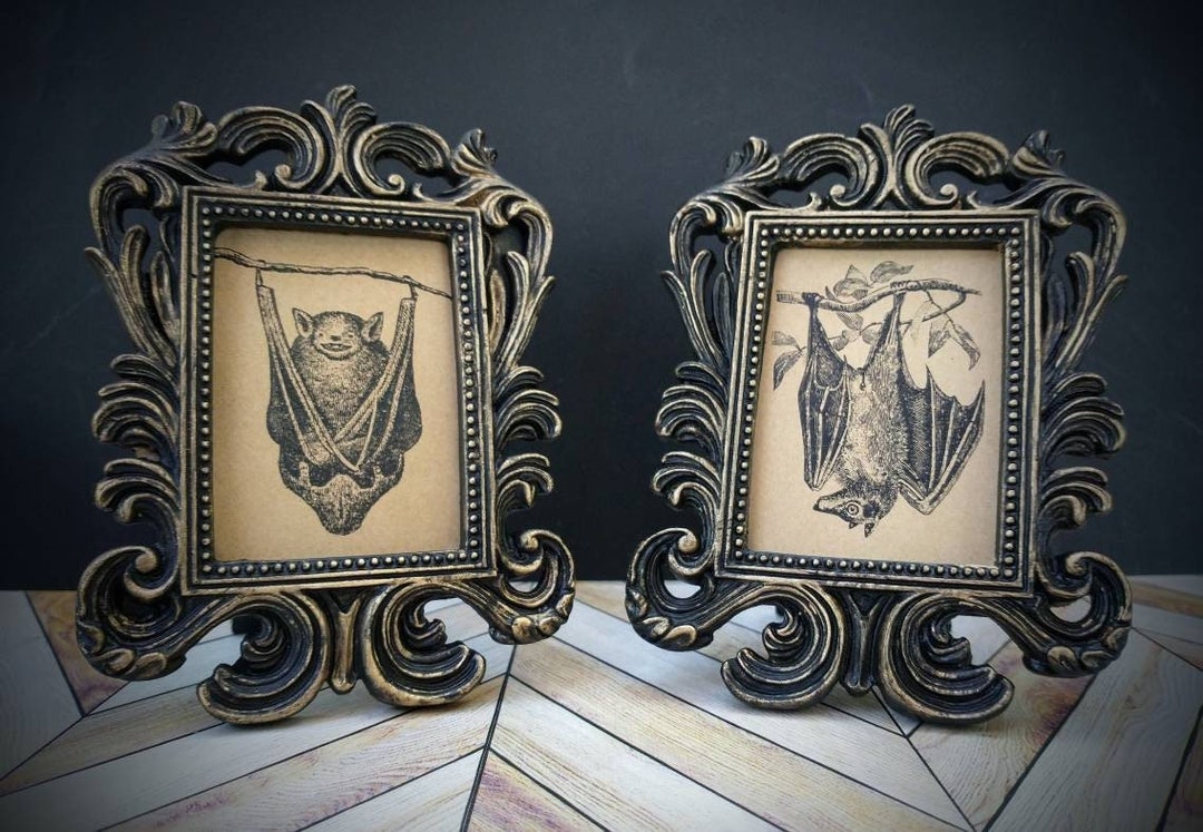 Vintage Bat Print in Baroque Frame - Antique Hanging Bat Art Framed in ...