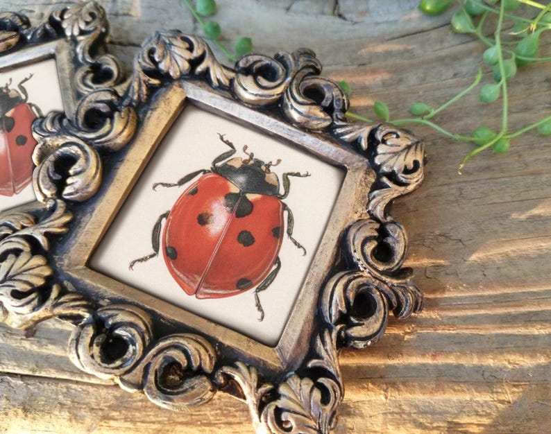 Ladybug Print in Baroque Frame - Mini Vintage Cute Insect Bug Print in ...