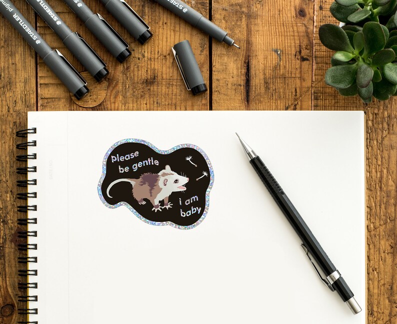 Possum Sticker 3-pack 3 Funny Opossum Stickers Glossy - Etsy