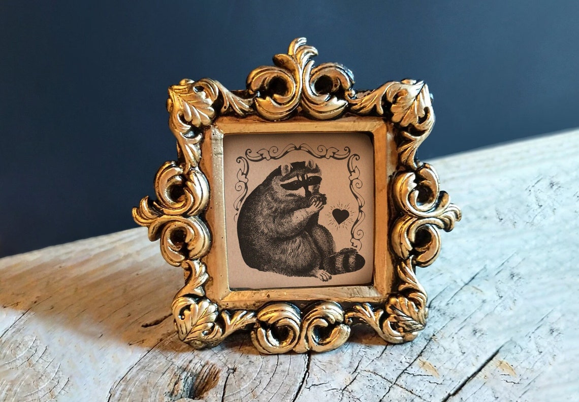 Raccoon Print in Baroque Frame Vintage Style Art in Mini - Etsy