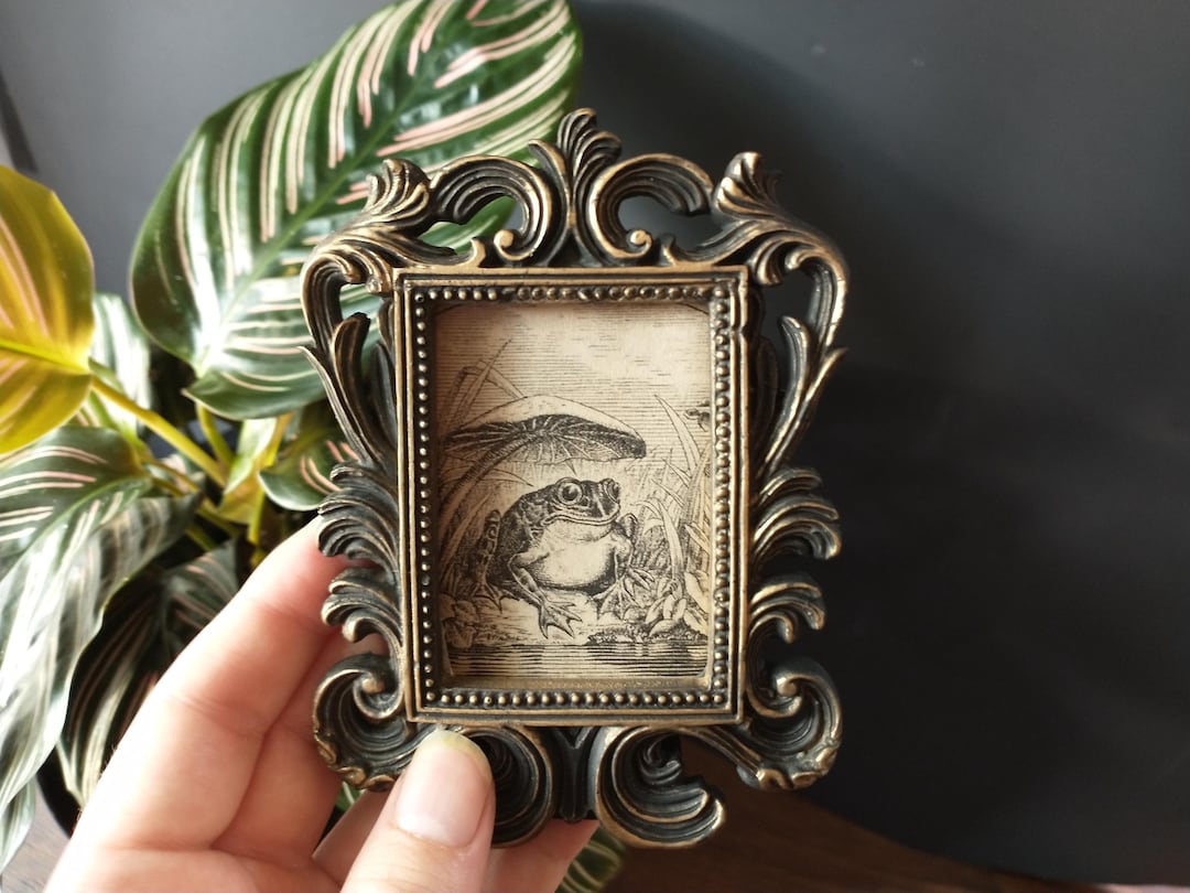 Happy Frog Print: Funny Vintage Antique Art in Baroque Frame - Etsy