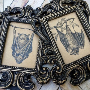 Vintage Bat Print in Baroque Frame - Antique Hanging Spooky Framed ...