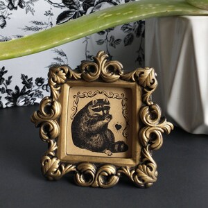 Raccoon Print in Baroque Frame Vintage Style Art in Mini Baroque Frame ...