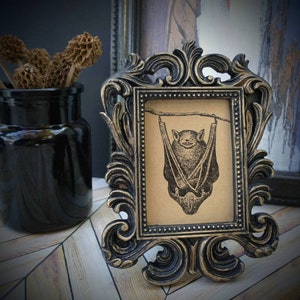 Vintage Bat Print in Baroque Frame - Antique Hanging Spooky Framed ...