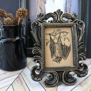 Vintage Bat Print in Baroque Frame - Antique Hanging Spooky Framed ...