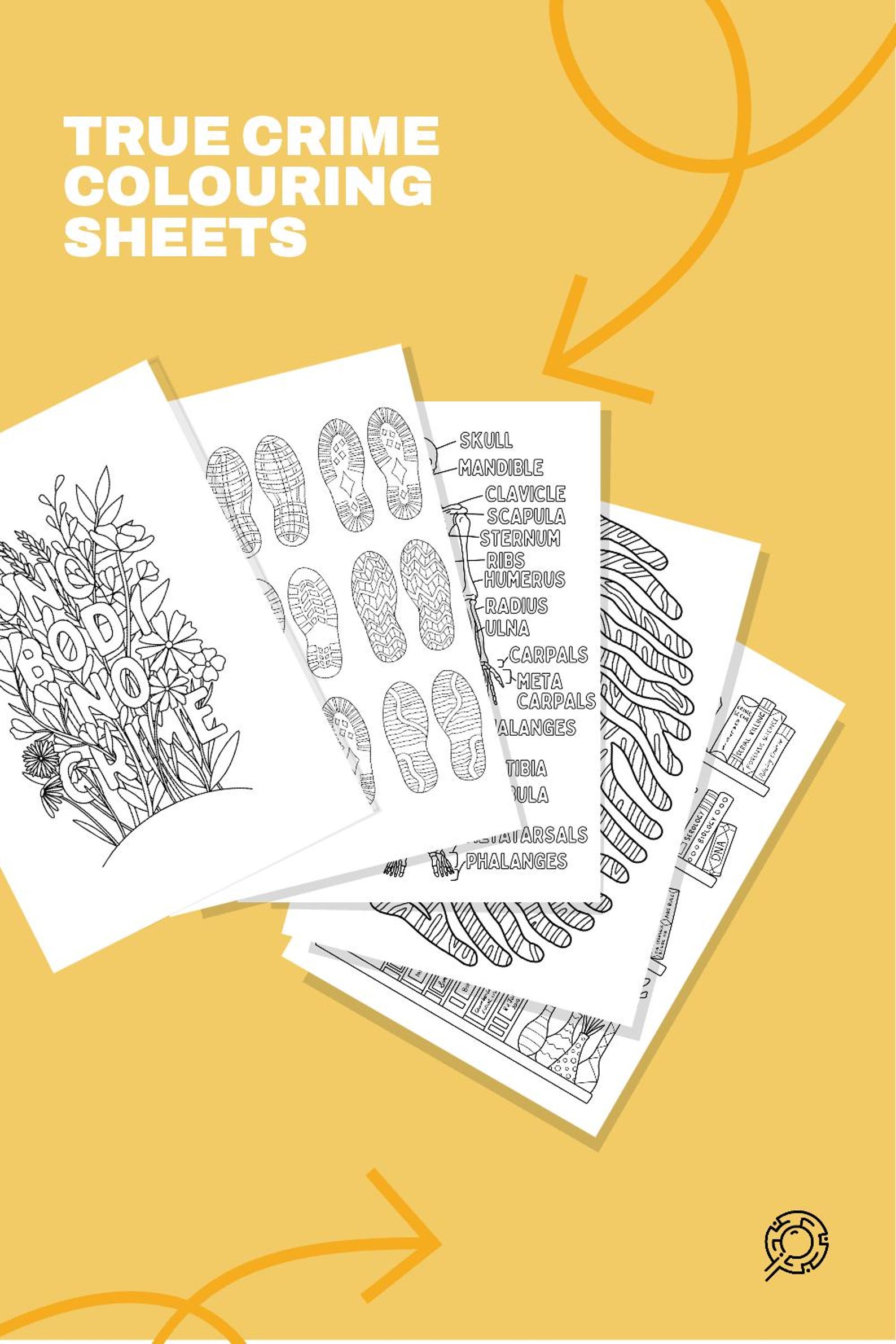 True Crime Colouring Sheets | DIY Detective | Printables - Etsy