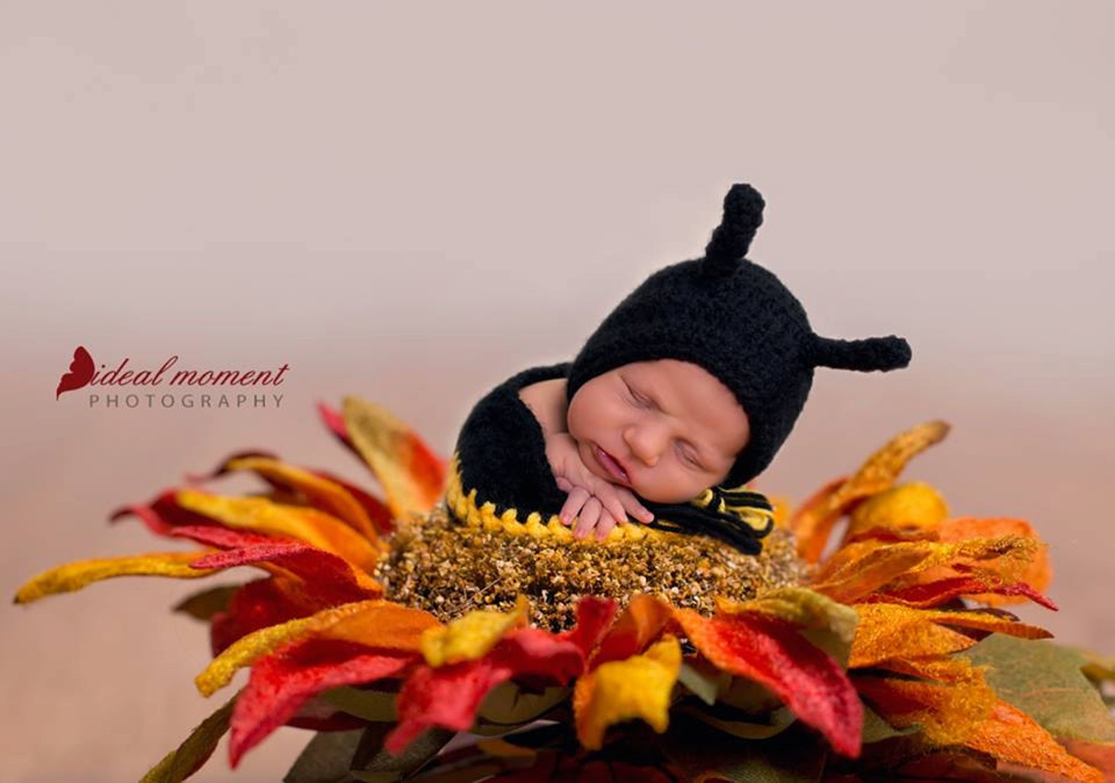 Newborn Bumblebee Prop Baby Shower Gift Bug Theme Nursery | Etsy