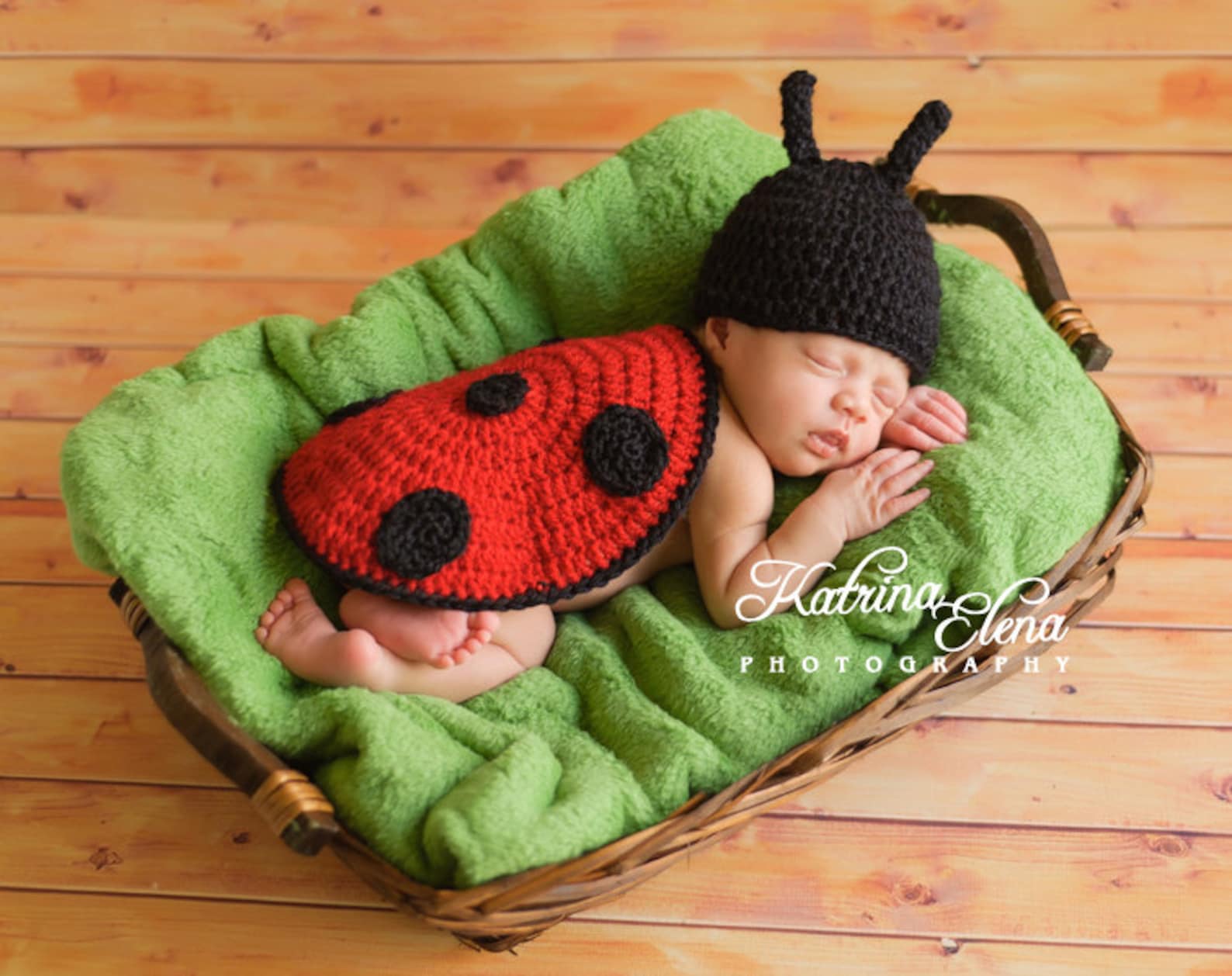 Newborn Ladybug Prop, Garden Theme Nursery, Summer Newborn Photo Prop ...