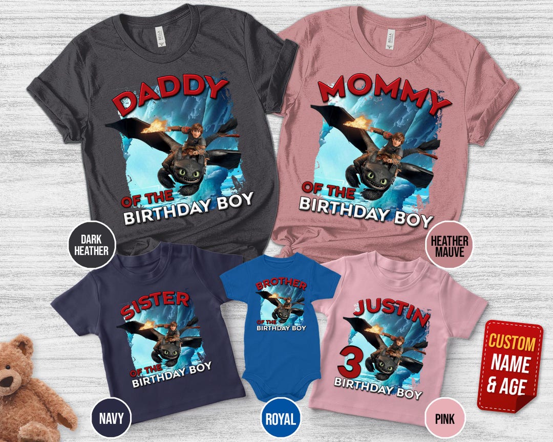 Toothless Birthday Shirt/disney Toothless Shirt/how to Train Dragon ...