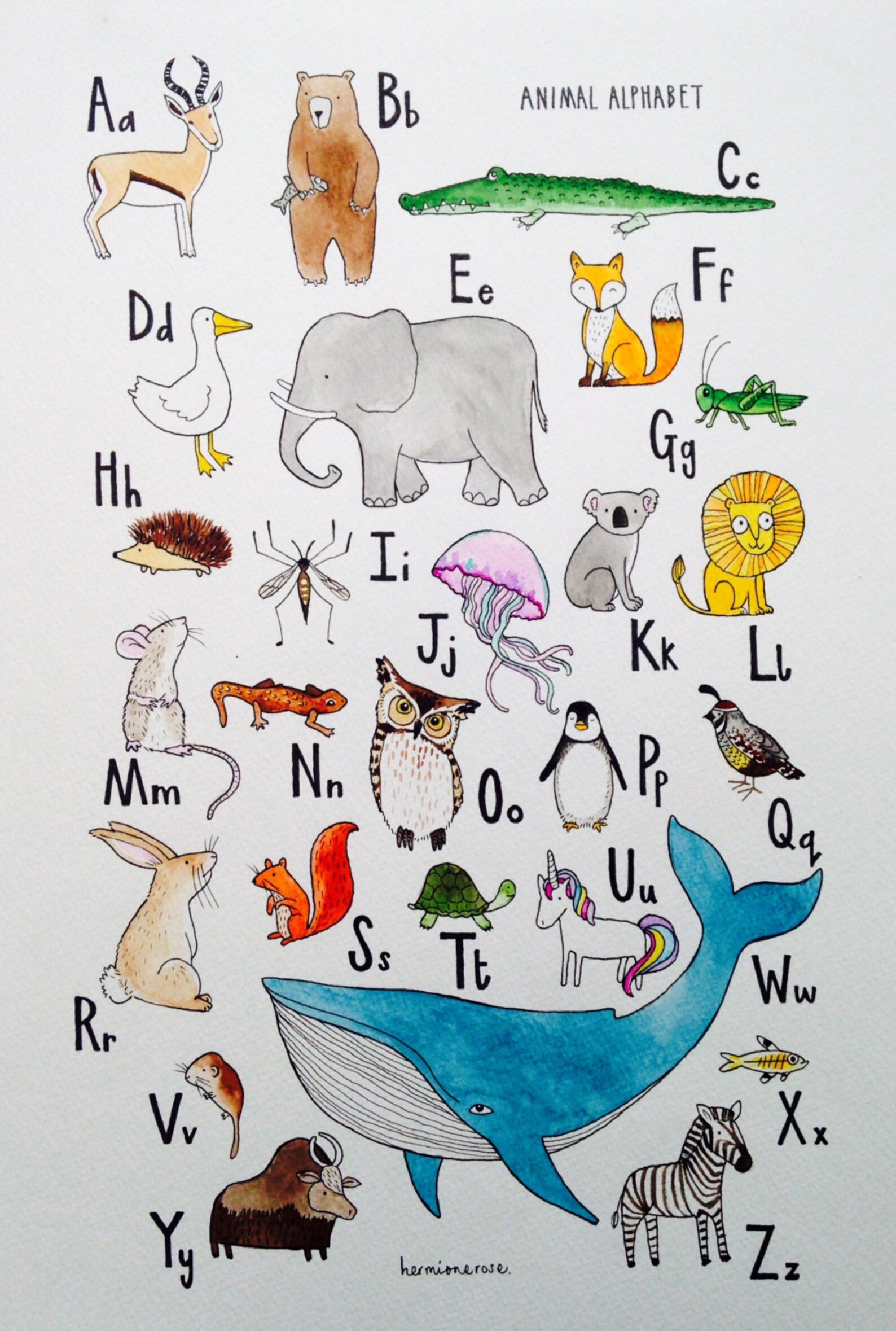 Animal Alphabet Poster Print - Etsy