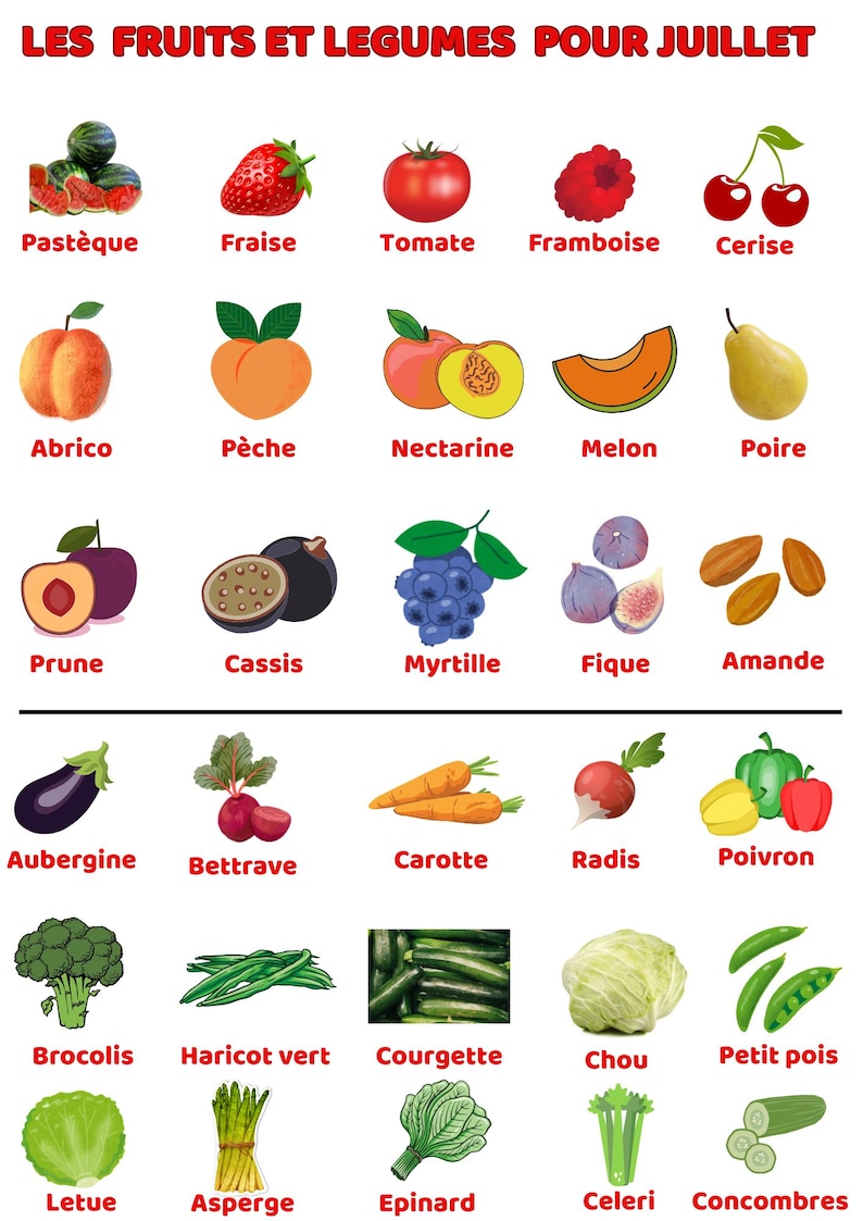 Educational Poster on Fruits and Vegetables - Etsy