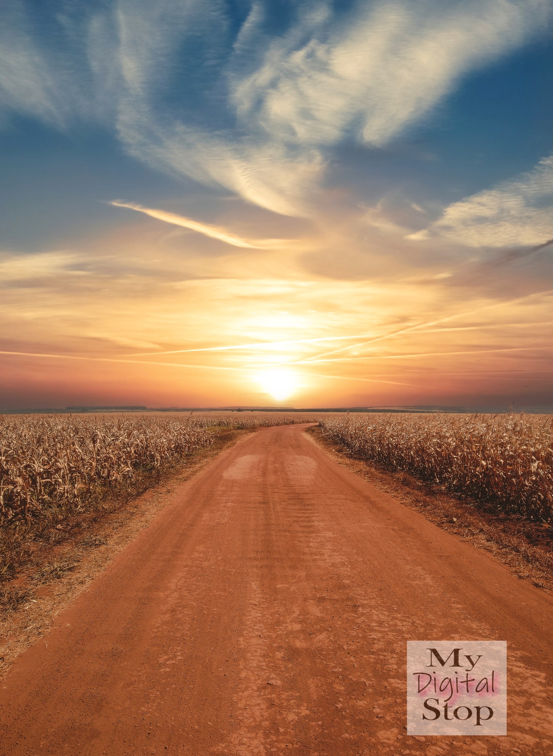 Country Dirt Road Sunset
