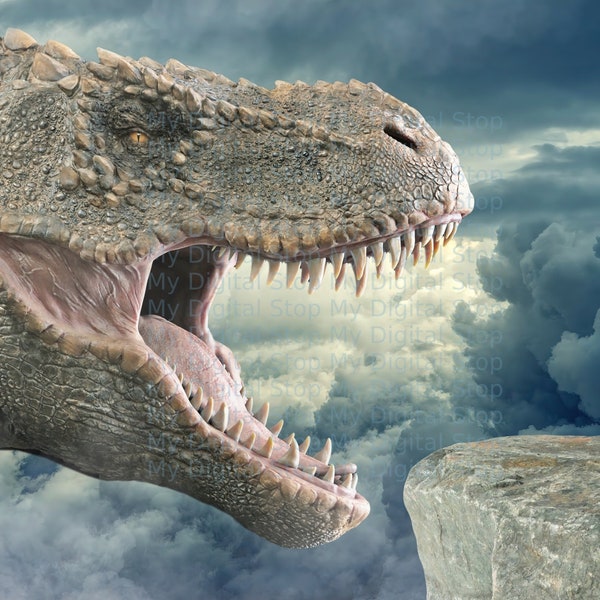 Dinosaur Photo Digital Backdrop - Etsy